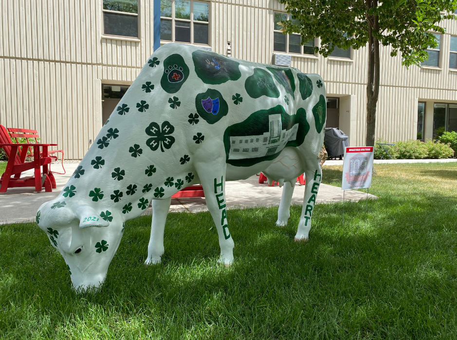 Cows for a Cause - First District Association