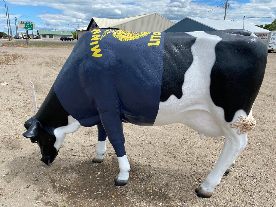 Cows for a Cause - First District Association