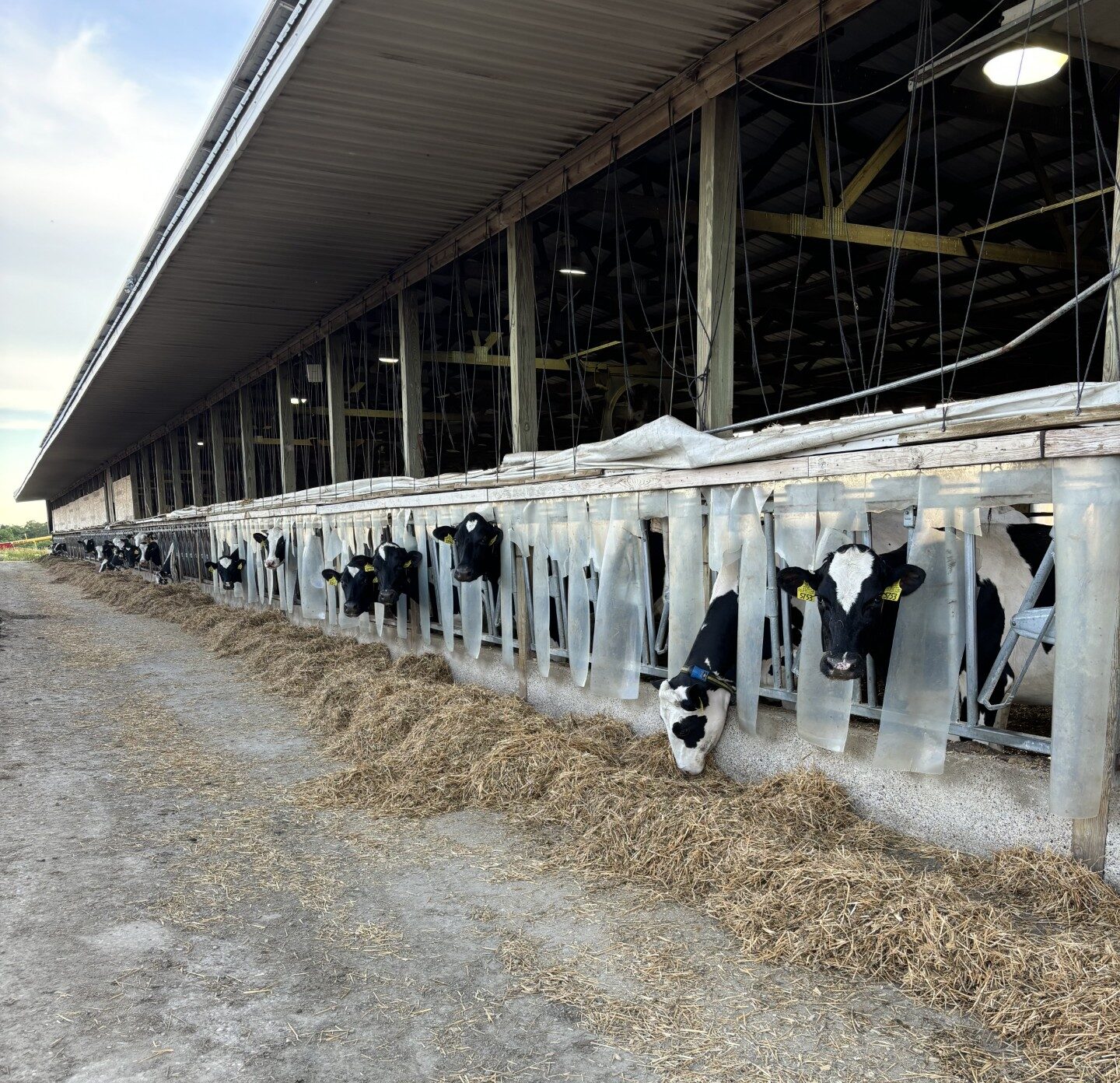 Manure Management on Dairy Farms - First District Association